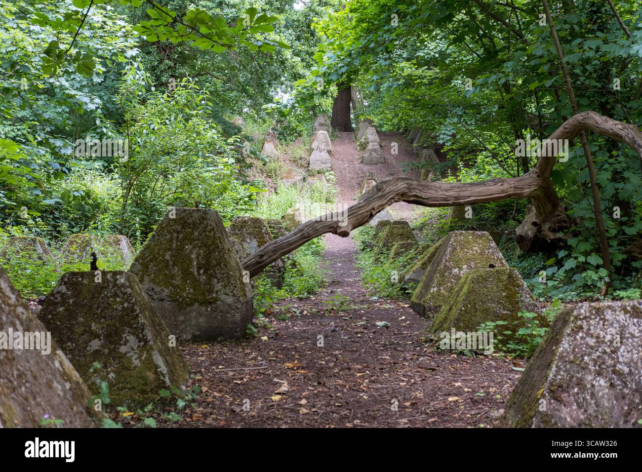 Dragon's teeth anti-tank fortifications, World War II era defences ...