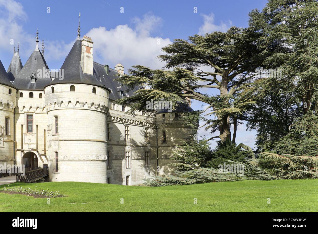 Old public domain French castle in dark forest. Sunny day Stock Photo ...