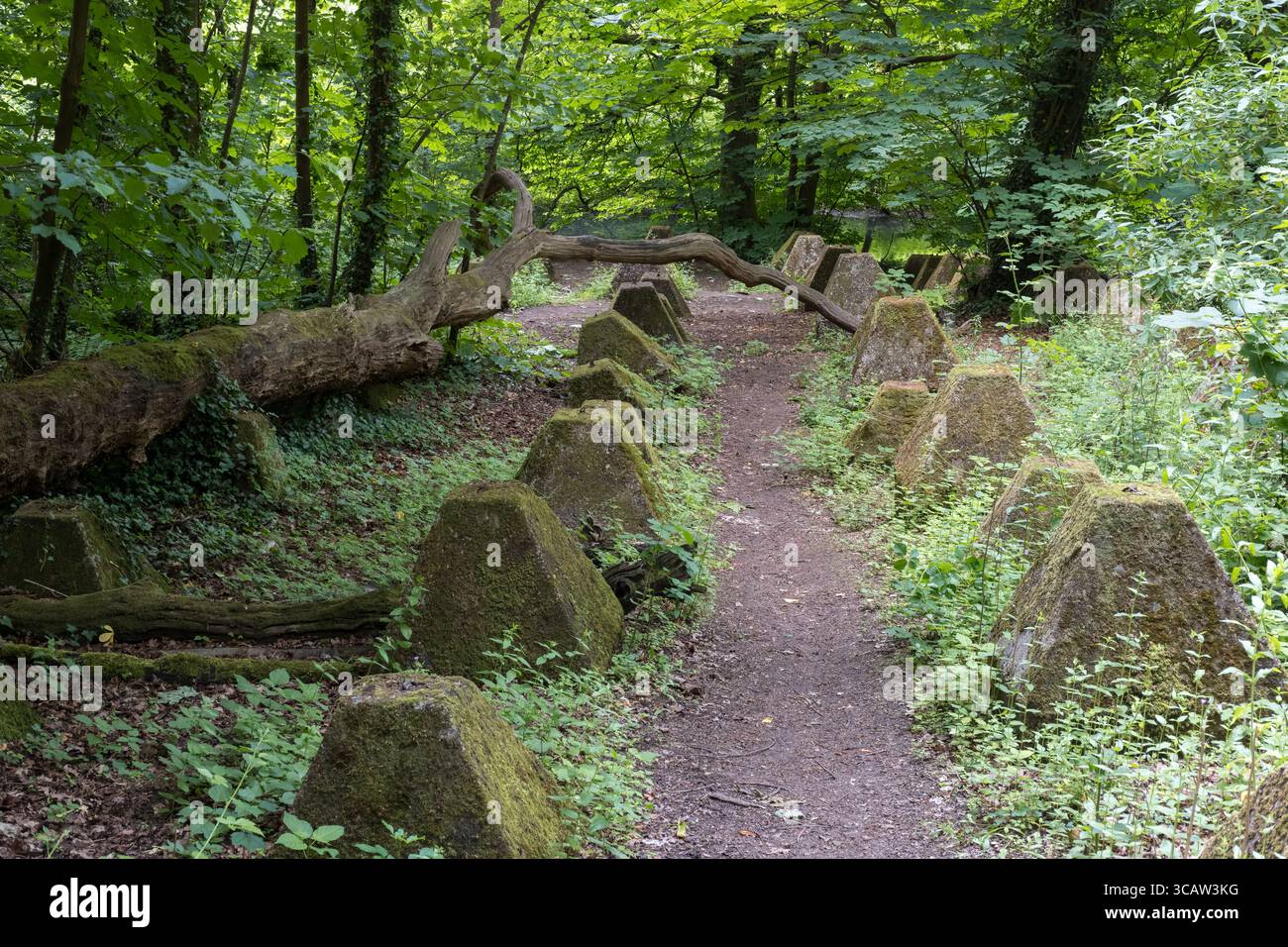 Dragon's teeth anti-tank fortifications, World War II era defences ...