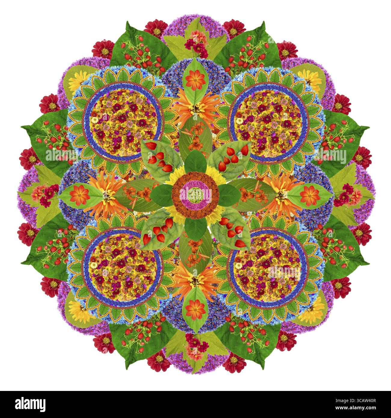 Best in the world floral Mandala from vivid plants and flowers ...
