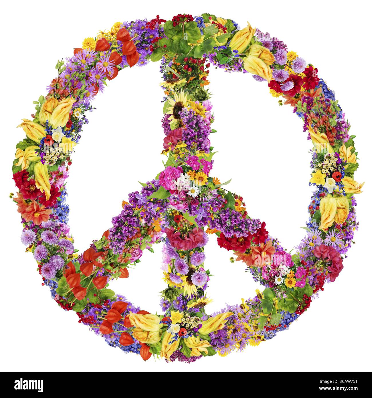 Peace symbol abstract collage made from fresh summer flowers. Isolated ...