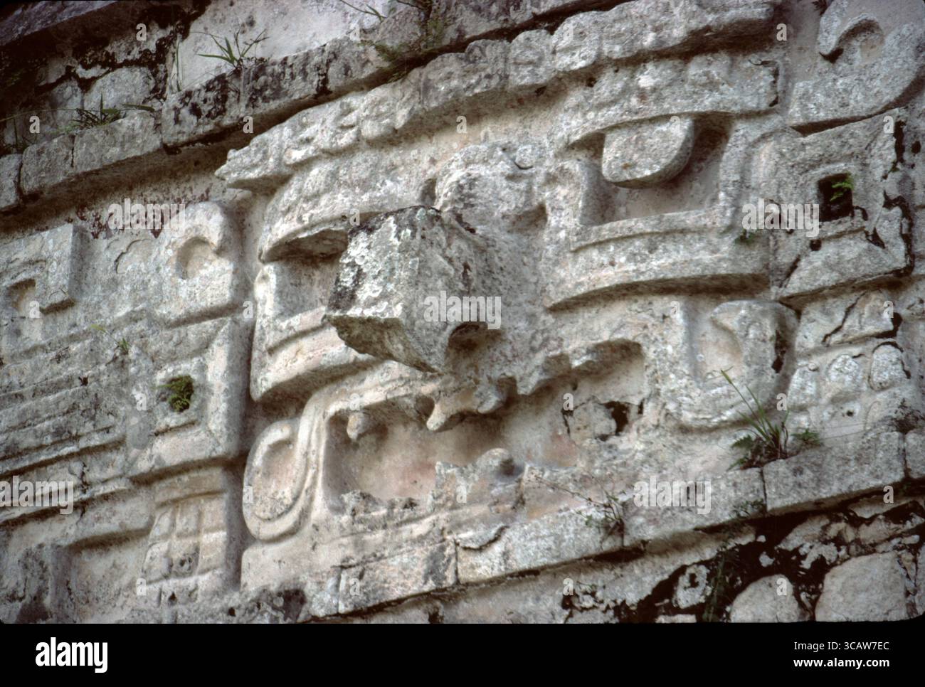 Uxmal Yucatan Mexico. 12/27/1985. Uxmal ruins. Occupation estimated ...