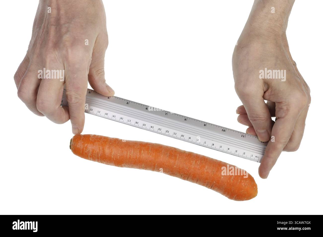 Farmer checks the size and quality of carrots using a ruler. Isolated ...