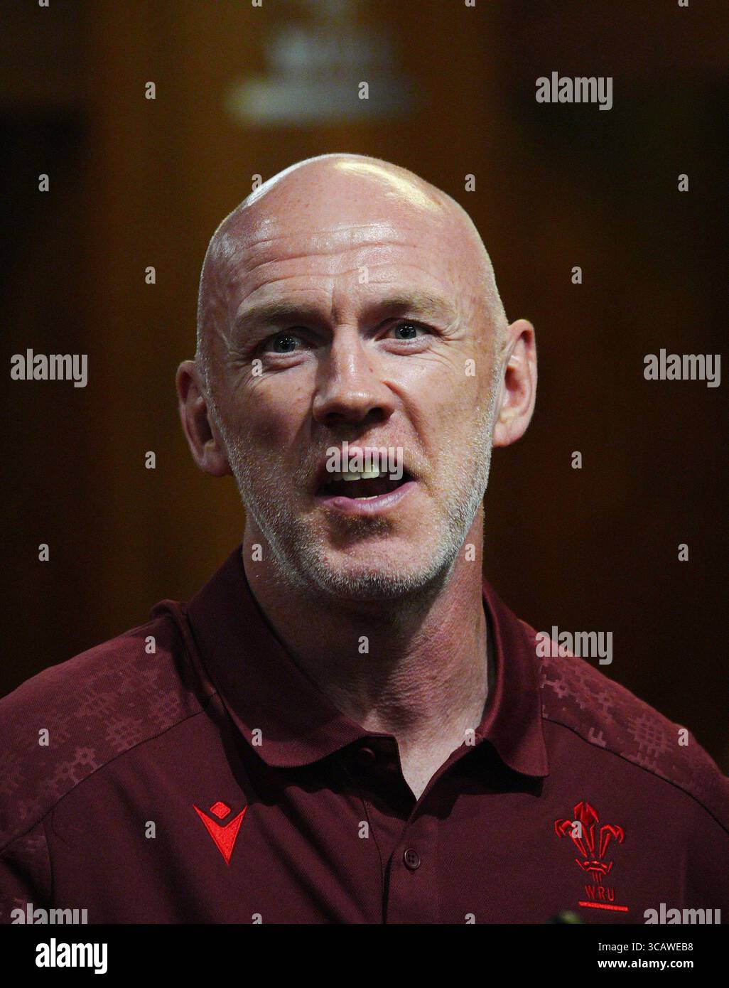 Wales head coach Steve Tandy during a press conference at the ...