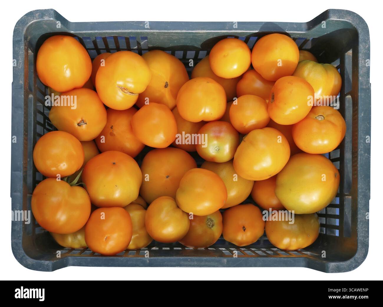 Yellow tomato on black Cut Out Stock Images & Pictures - Alamy