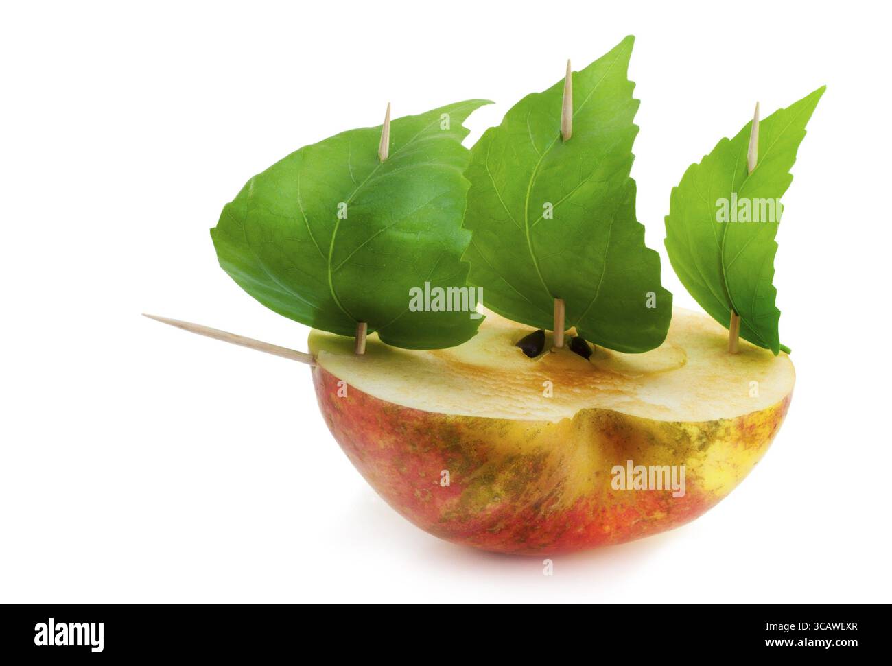 Ship from a half of an apple, toothpicks and green leaves. Green peace ...