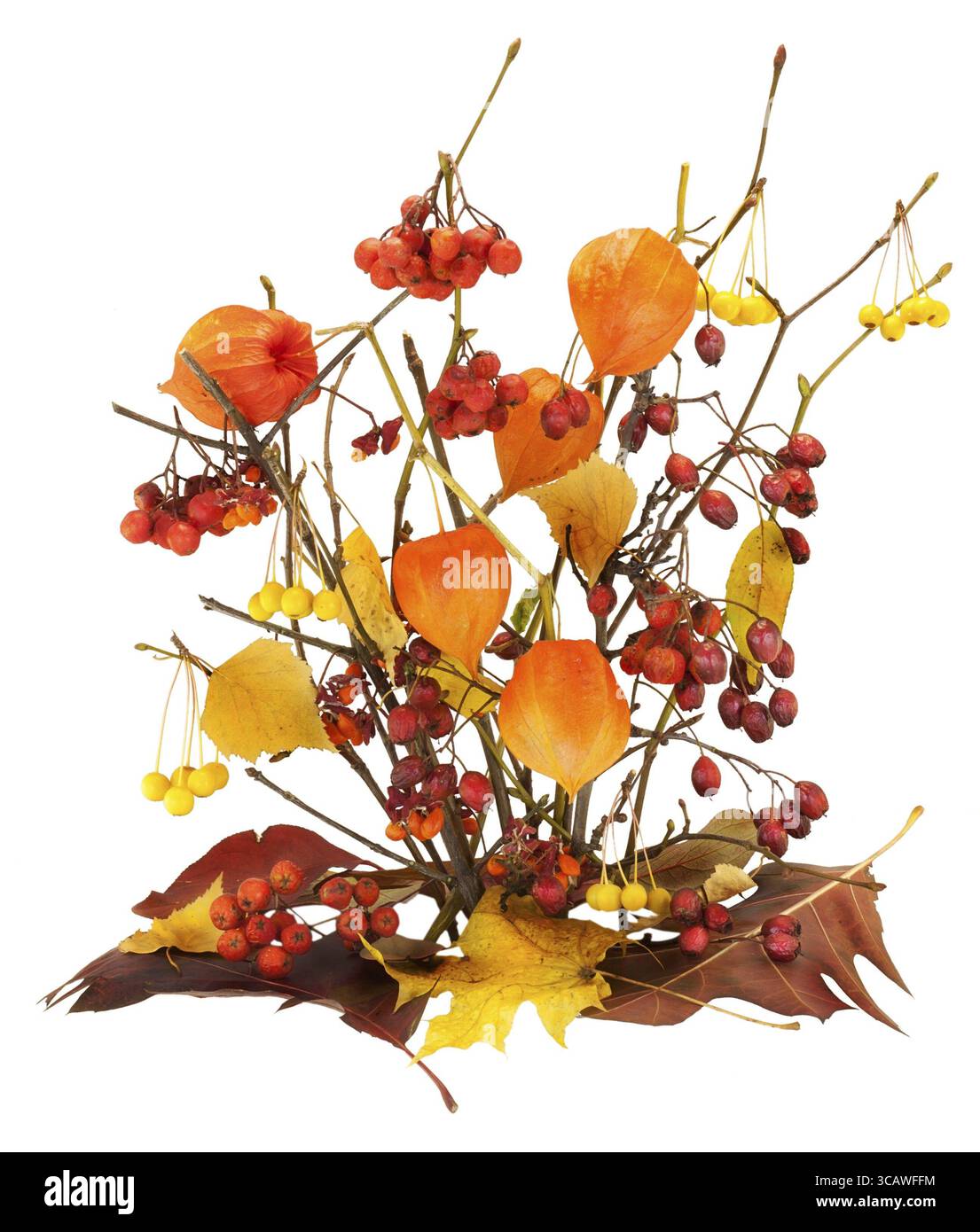 Dead fruit tree Cut Out Stock Images & Pictures - Alamy