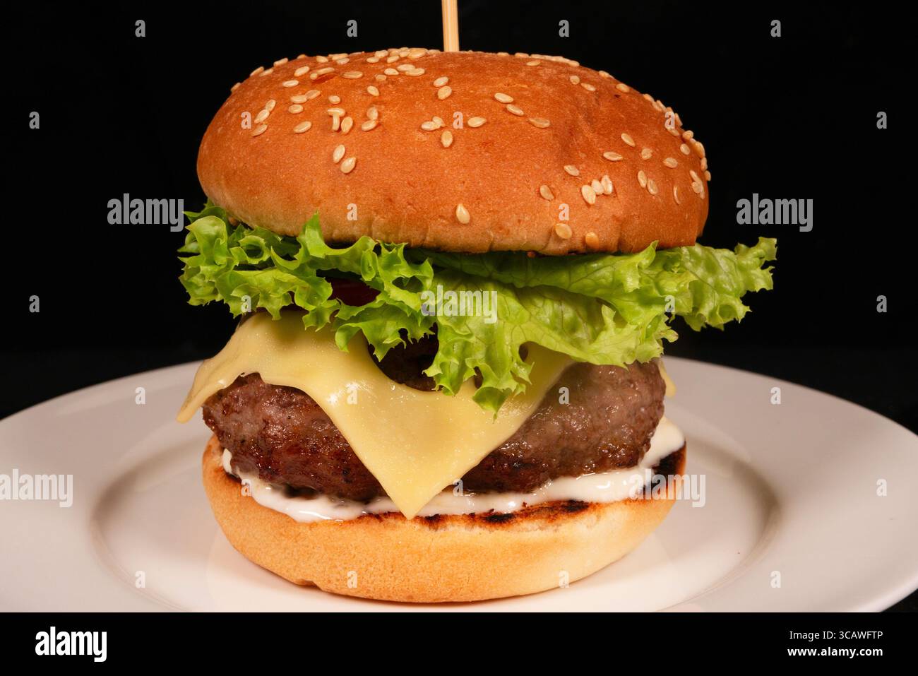 Sesame seed burger sitting hi-res stock photography and images - Alamy