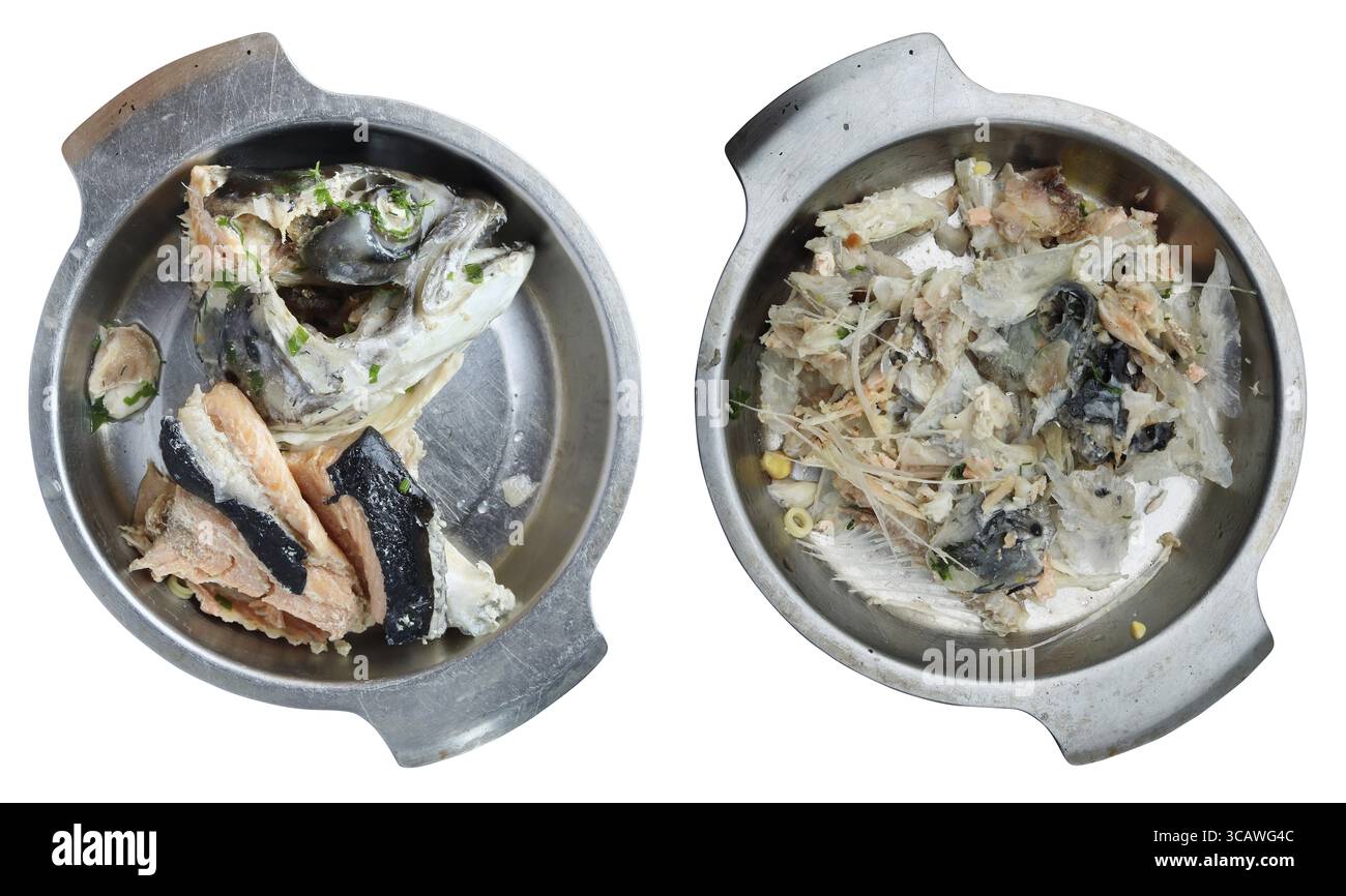 Boiled salmon head from fish soup on a metal plate. Before and after ...