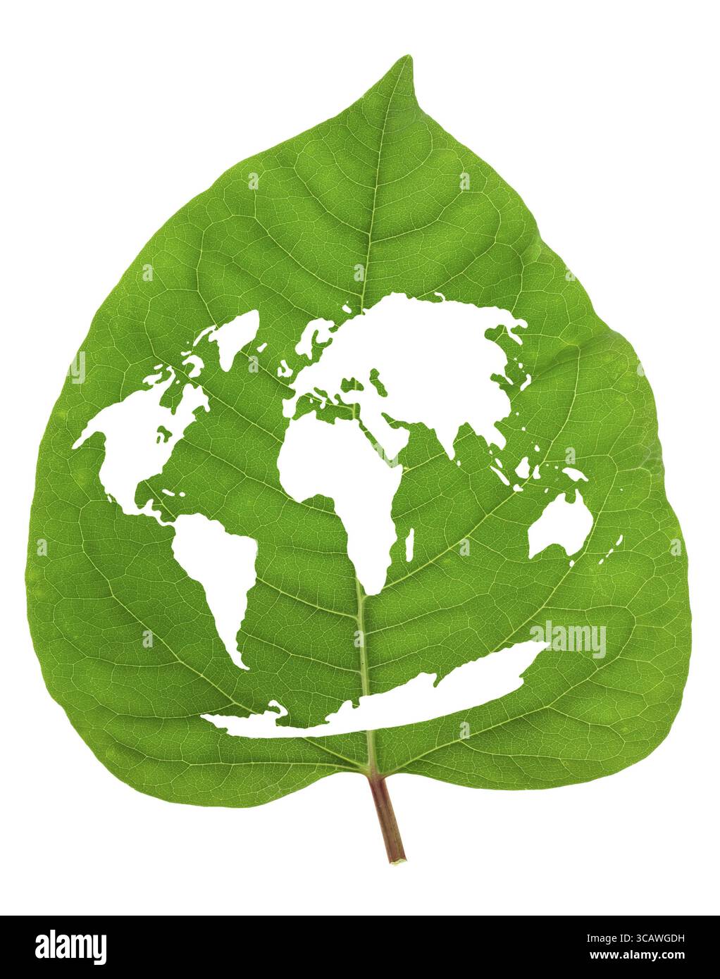 Green Earth map concept from real leaf isolated Stock Photo - Alamy