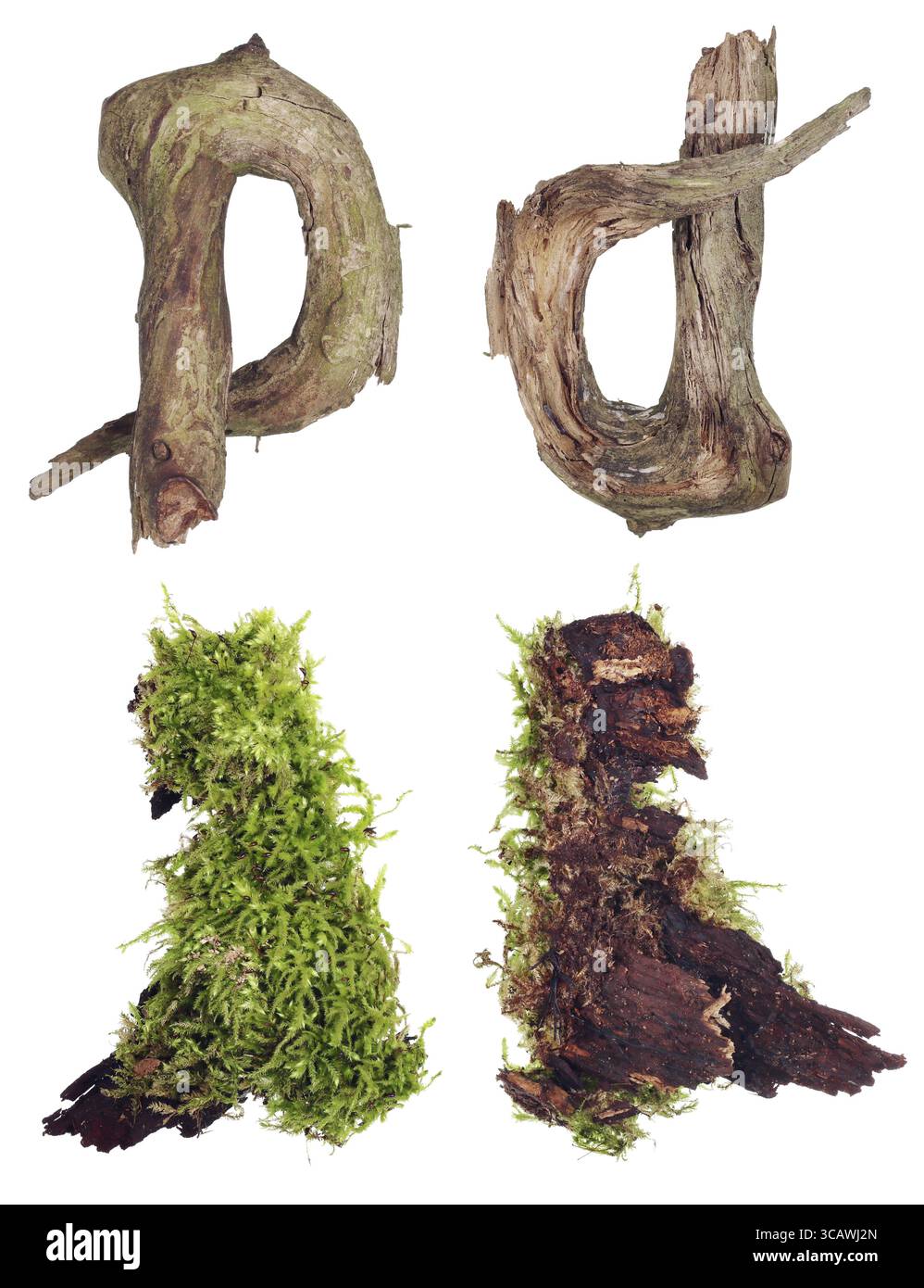 Bark form Cut Out Stock Images & Pictures - Alamy