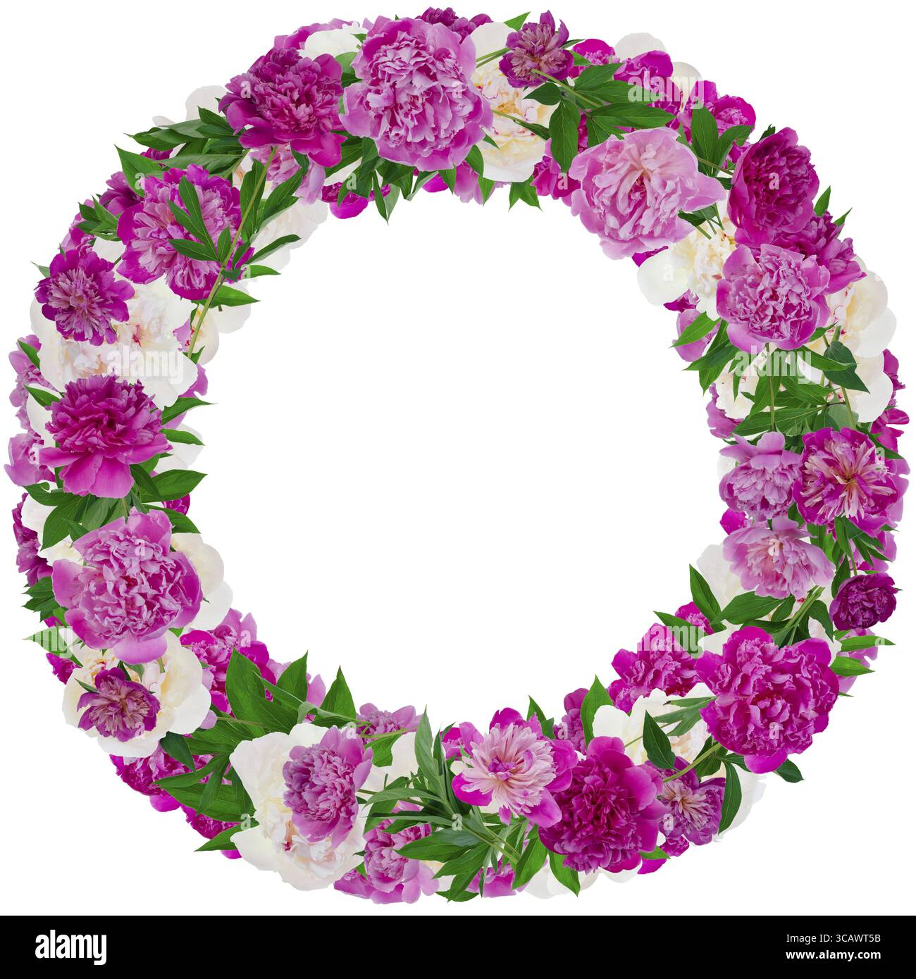 Pink and white real peonies branches roundl photo frame. Isolated on ...