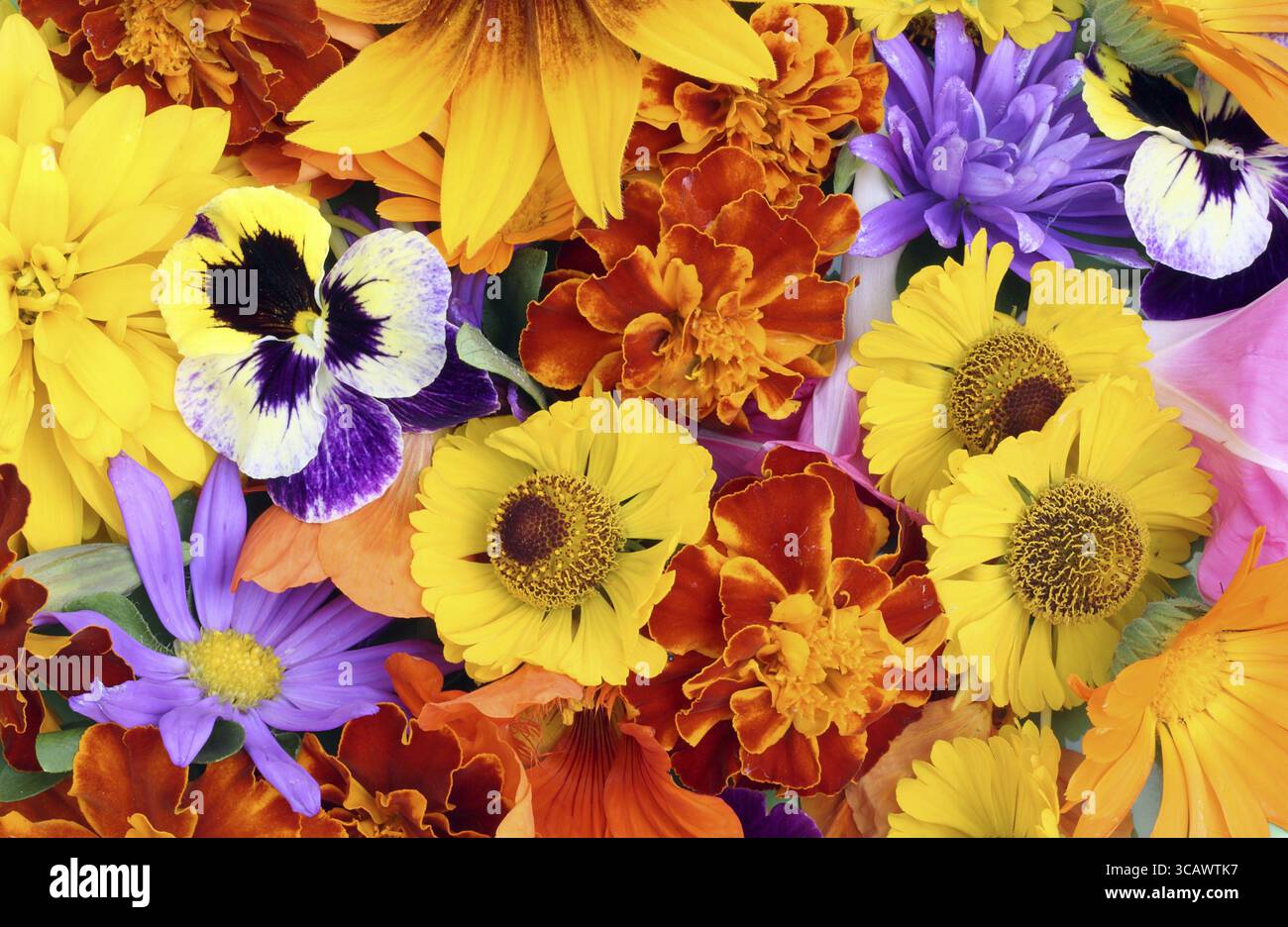 Abstract background from flowers hi-res stock photography and images ...