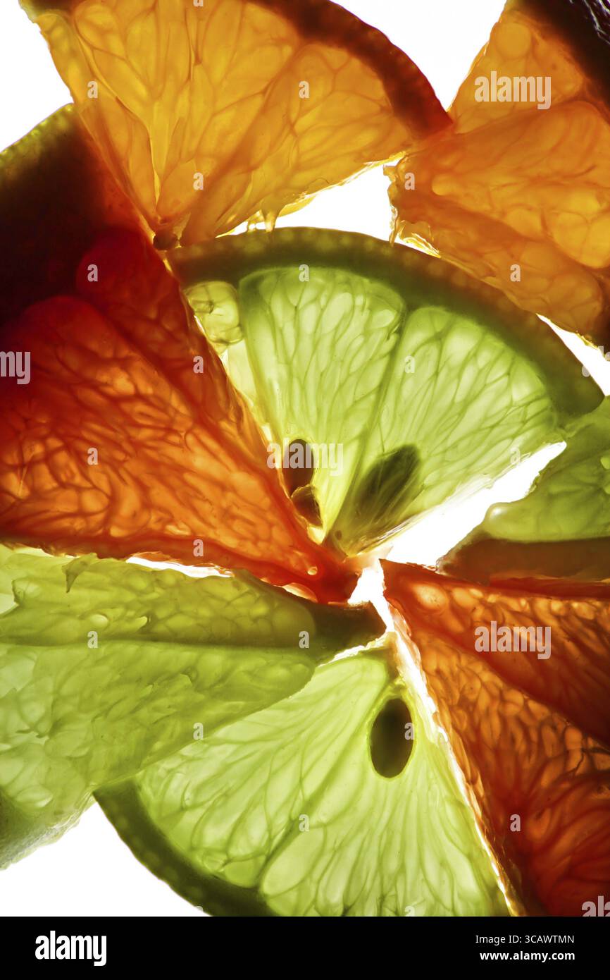 Translucent slices of citrus. A sour lemon, a red sweet grapefruit, a ...