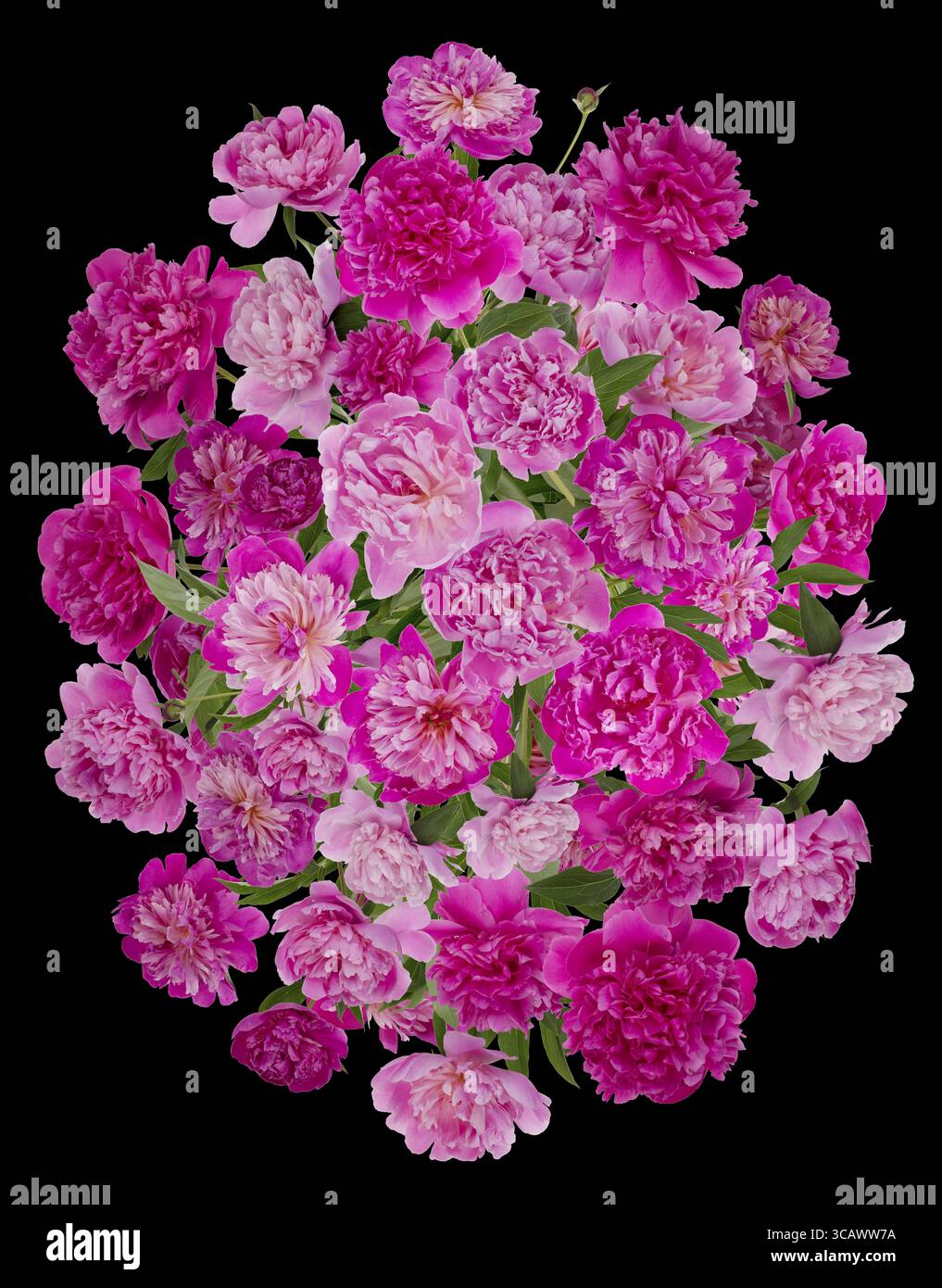 Tragic funeral buttonhole wreath from pink summer peonies flowers ...
