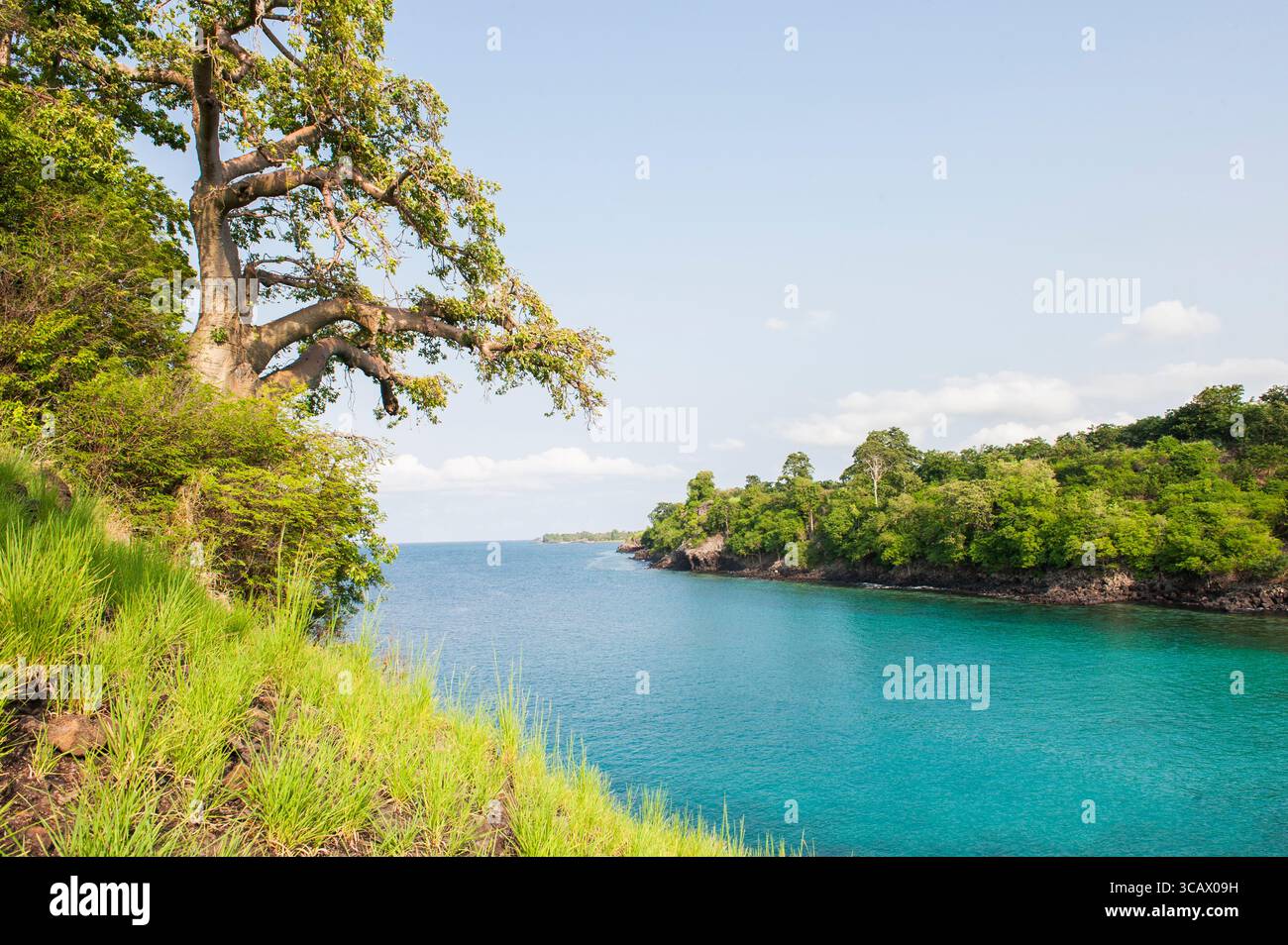 Little meadow cove hi-res stock photography and images - Alamy