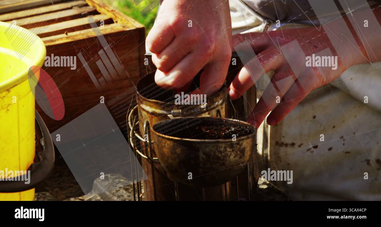 Operating beekeeper handling metal bee smokers at apiary, wooden hive ...