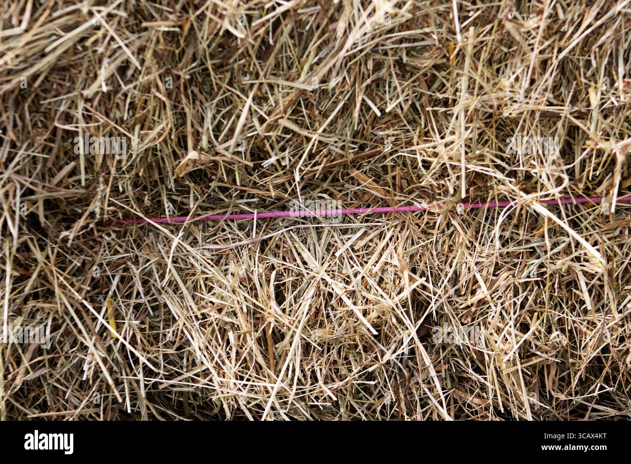 Detail bale hay tied hi-res stock photography and images - Alamy