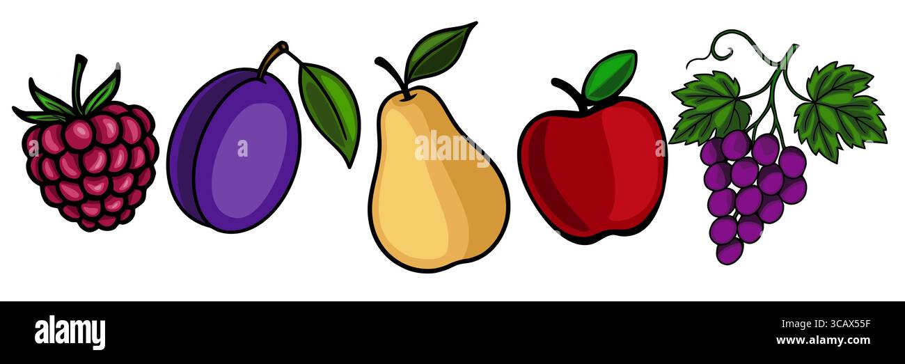 Vibrant vector illustration of a raspberry, plum, pear, apple, and ...