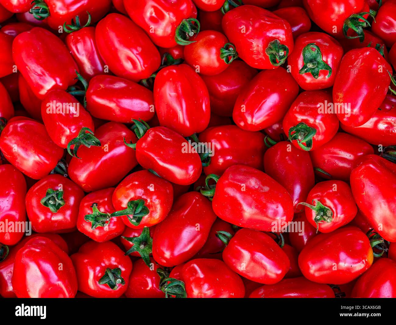Fresh, Juicy Red Tomatoes Piled Together. High-Resolution Image Perfect ...