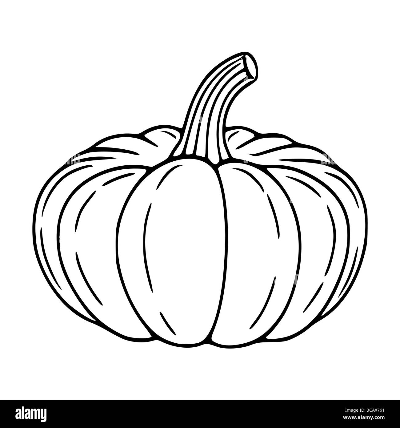 A detailed vector illustration of a single pumpkin with a defined stem ...