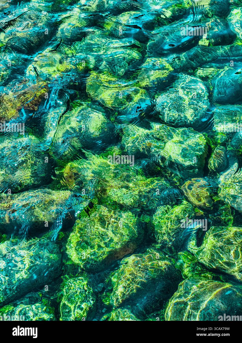 Mesmerizing web of shapes hi-res stock photography and images - Alamy