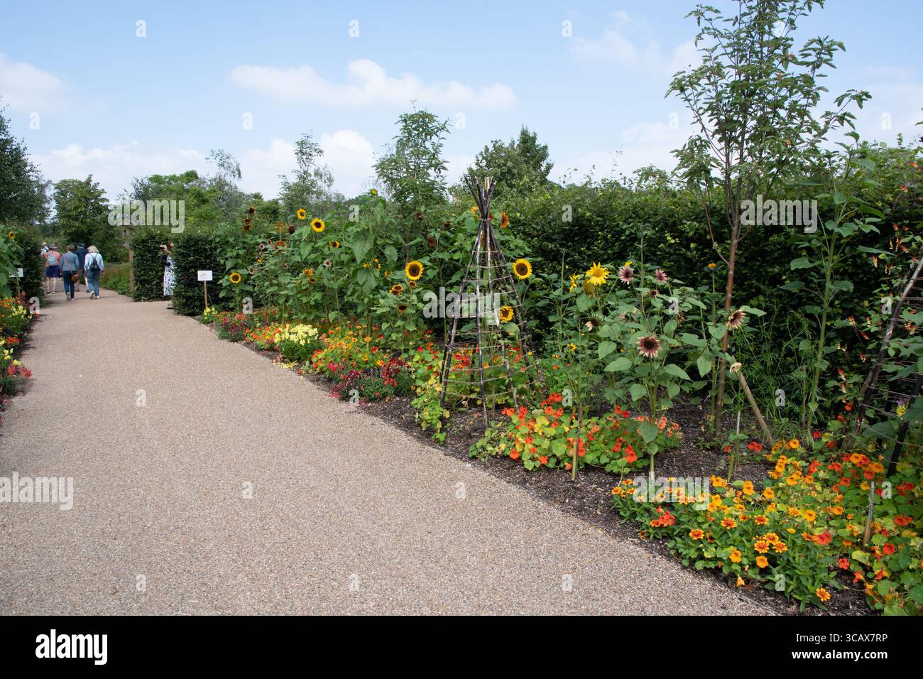 Rhs blooms hi-res stock photography and images - Alamy
