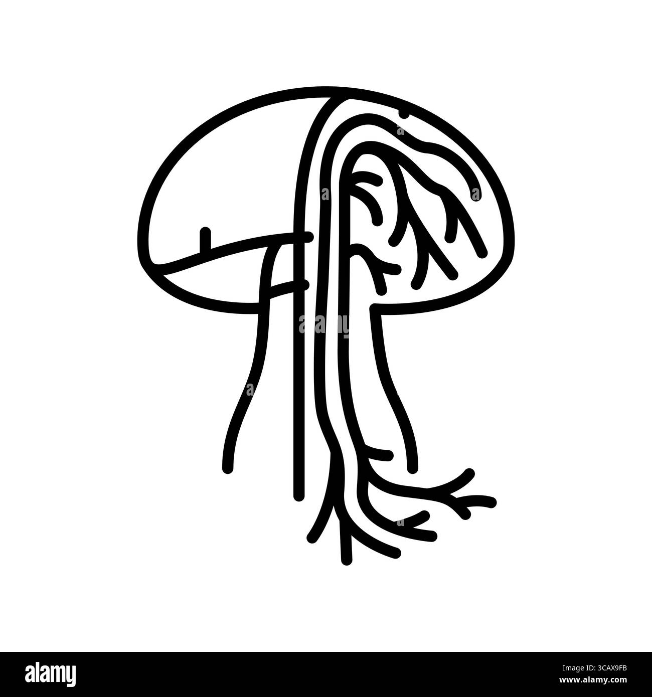 Hyphae mushroom black line icon for digital and print projects. Minimal ...