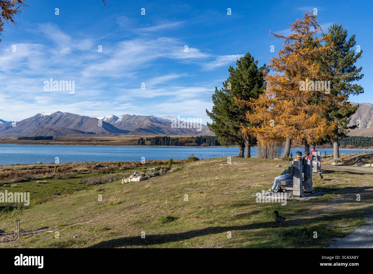 Lake Tekapo, Canterbury,New Zealand, view east across Lake Tekapo with ...