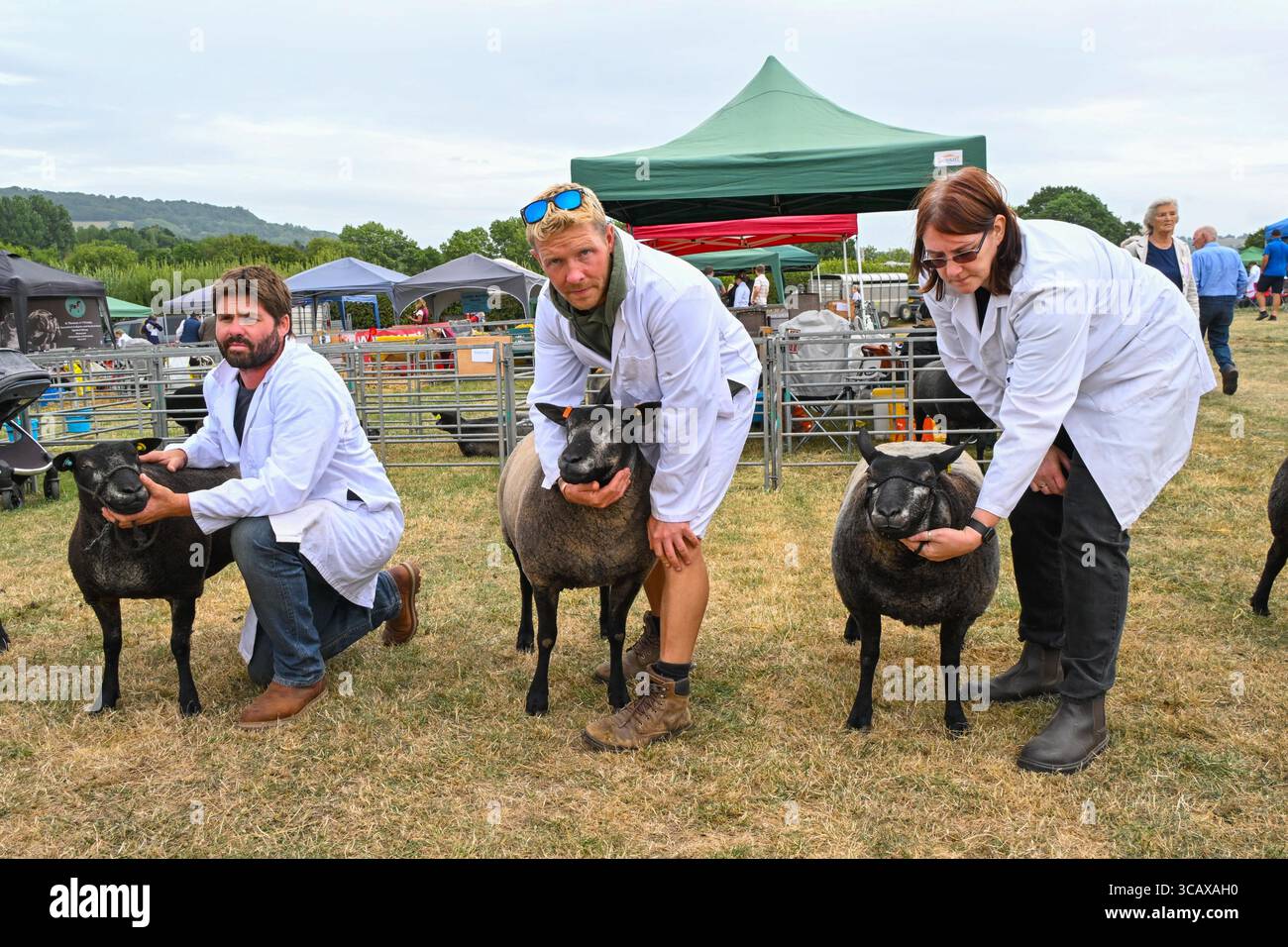 Honiton, Devon, UK. 7th August 2025. Farmers with their sheep during ...