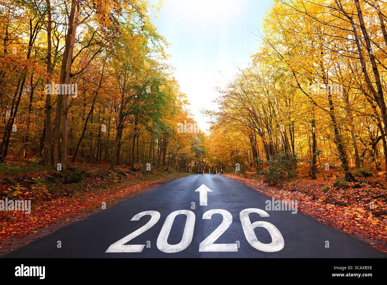 2026 and arrow on asphalt road between trees in autumn. Hope and ...