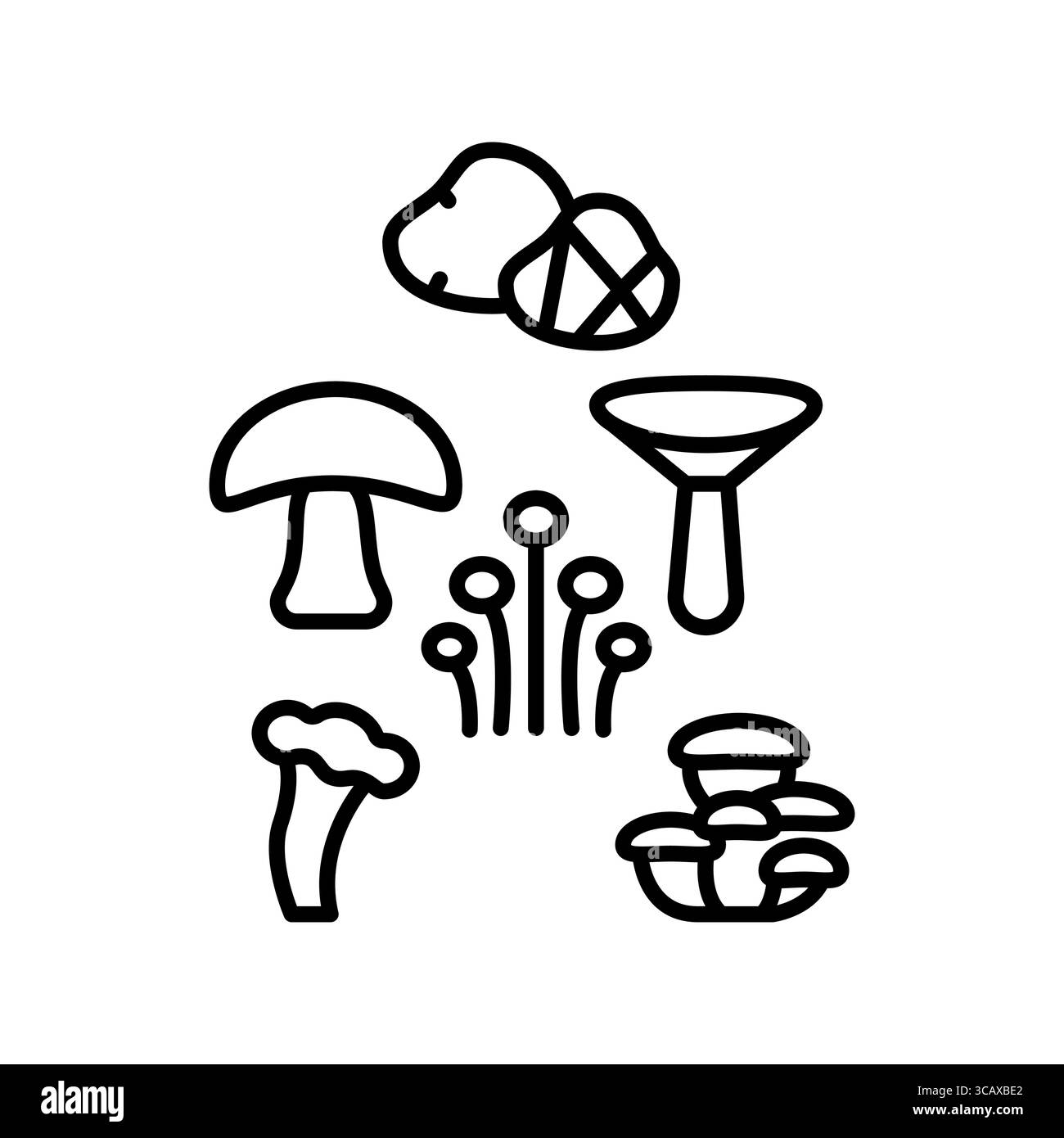 mushrooms variety black line icon for digital and print projects ...