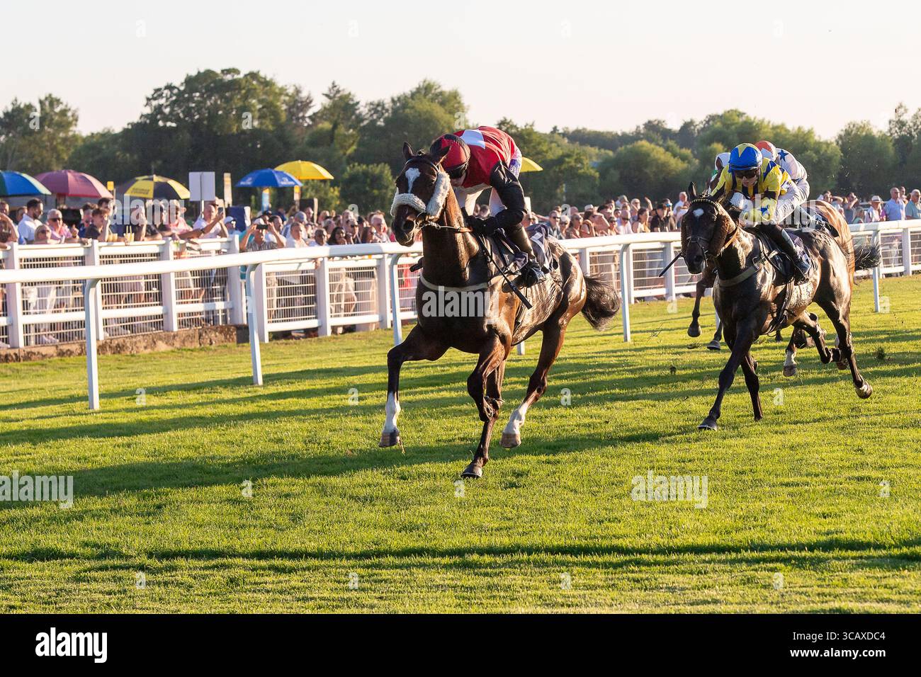 Lewes racecourse hi-res stock photography and images - Alamy