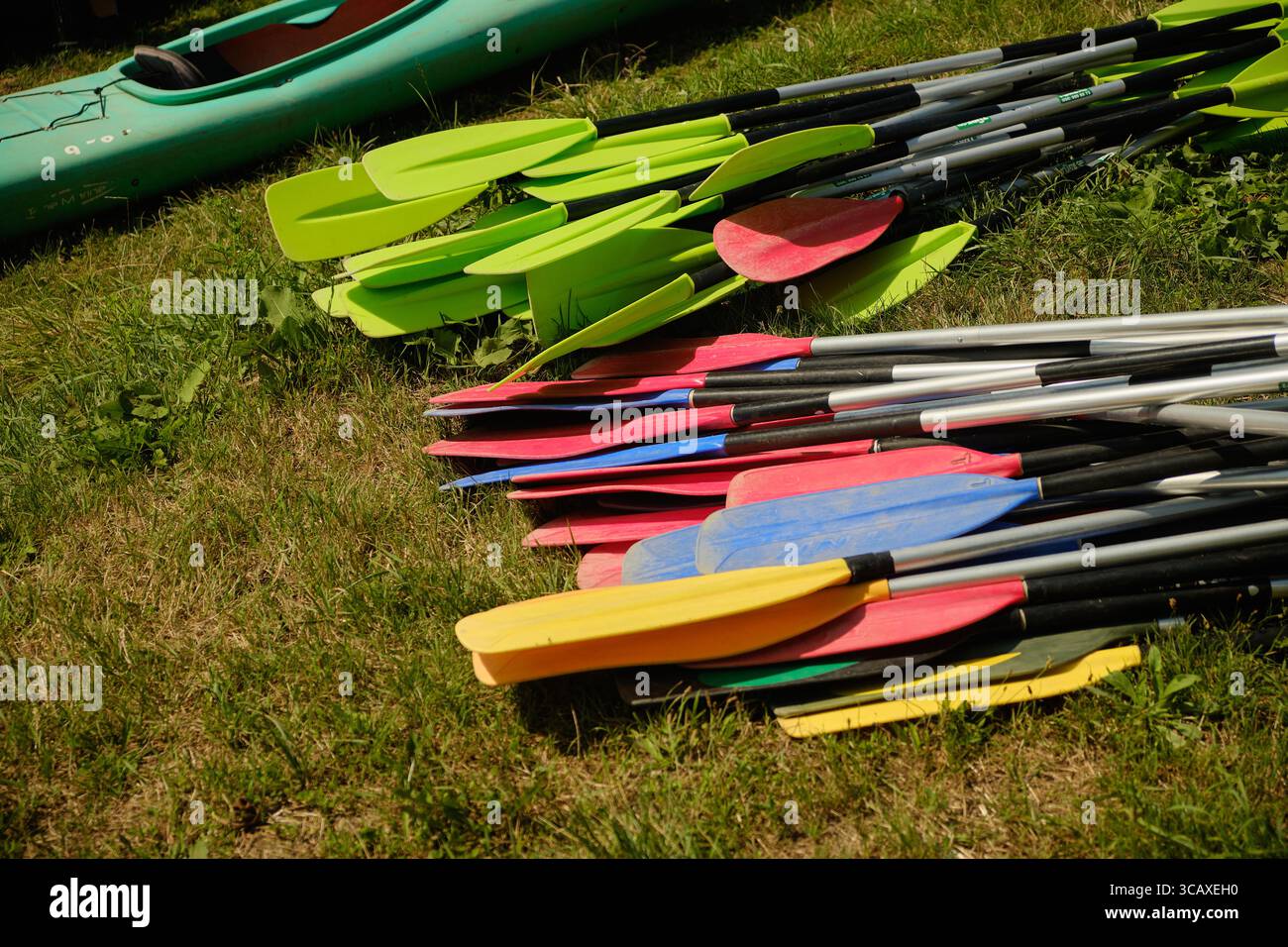 Multi-colored kayak paddles dry on the grass Stock Photo - Alamy