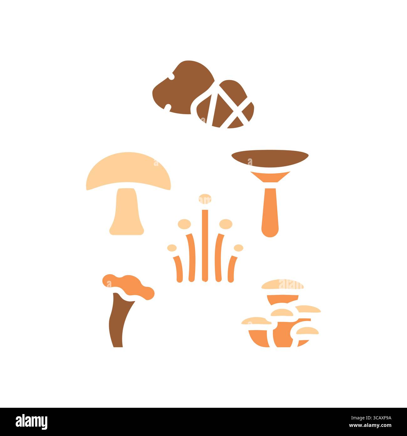 mushrooms variety color flat icon for digital and print projects ...
