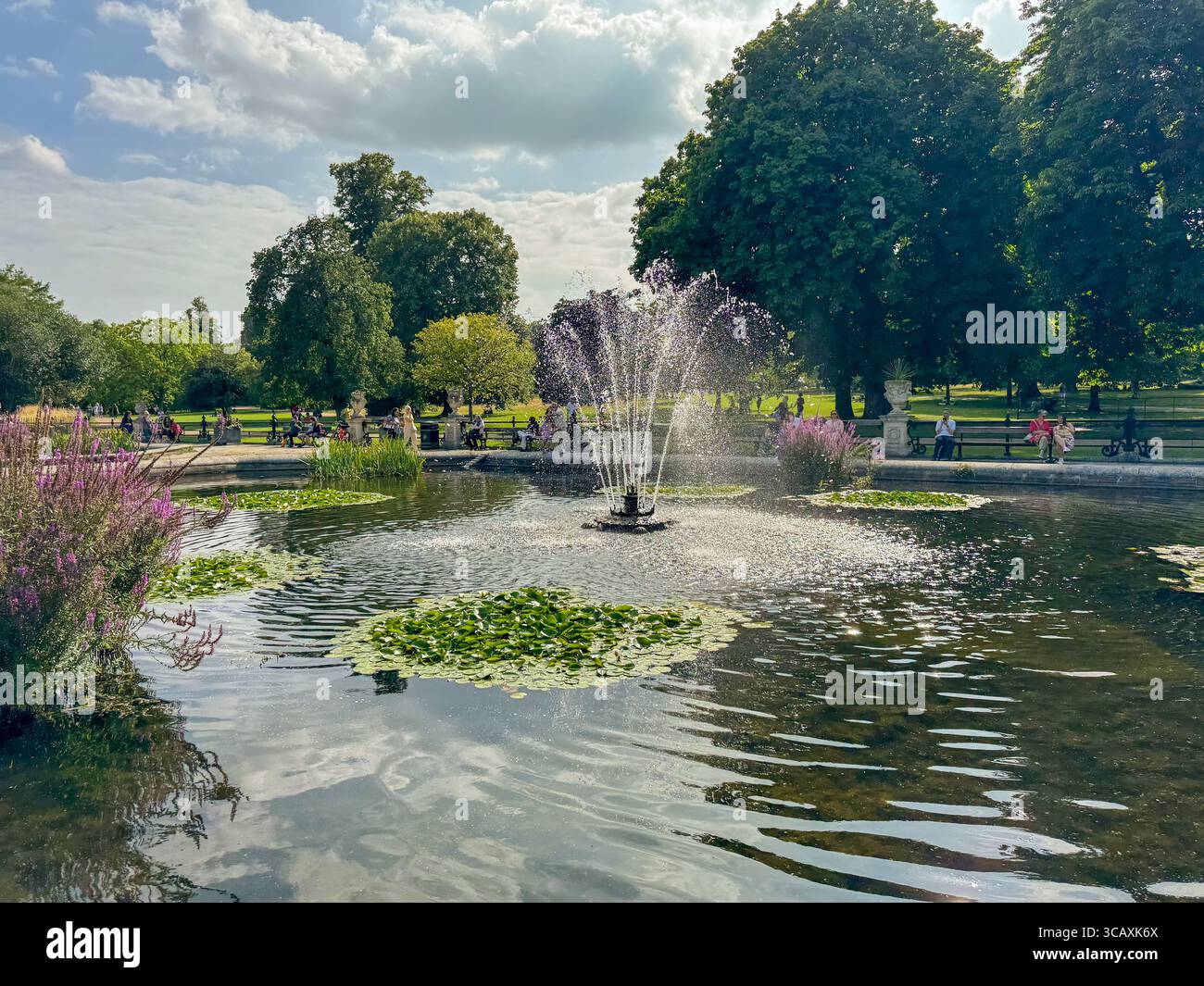Water lilies and fountains in the ornamental ponds of the Italian ...