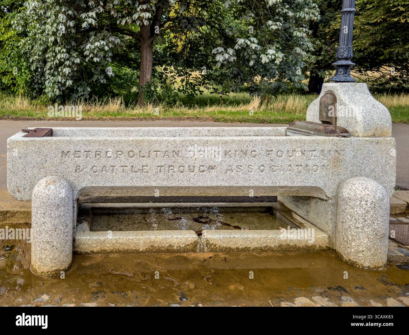 A historic granite drinking fountain and cattle trough from the ...