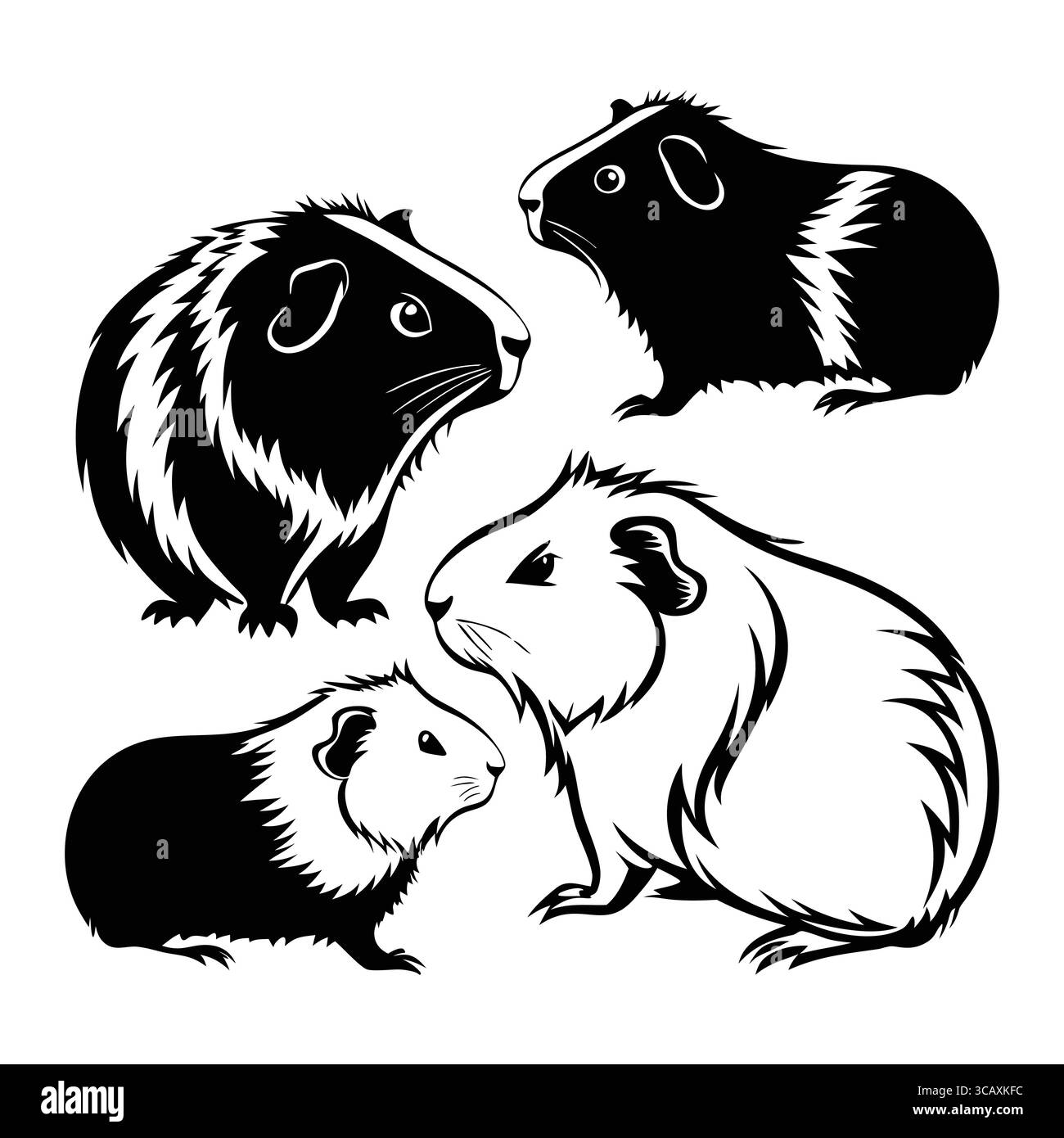 Adorable animal sketches Black and White Stock Photos & Images - Alamy