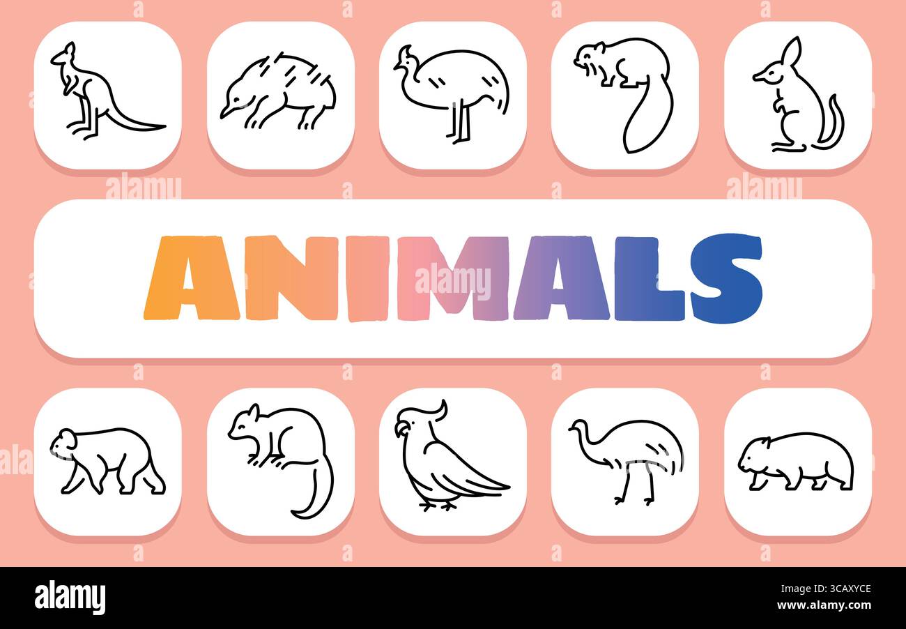 australian animals text concept. Shablon for presentation and ...