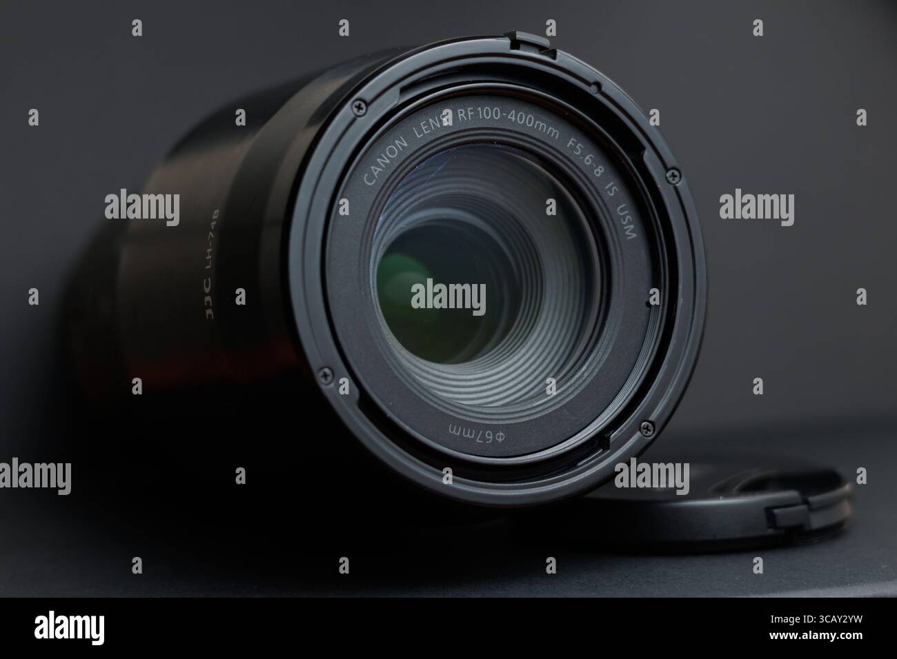 2025 wildlife photographer hi-res stock photography and images - Alamy