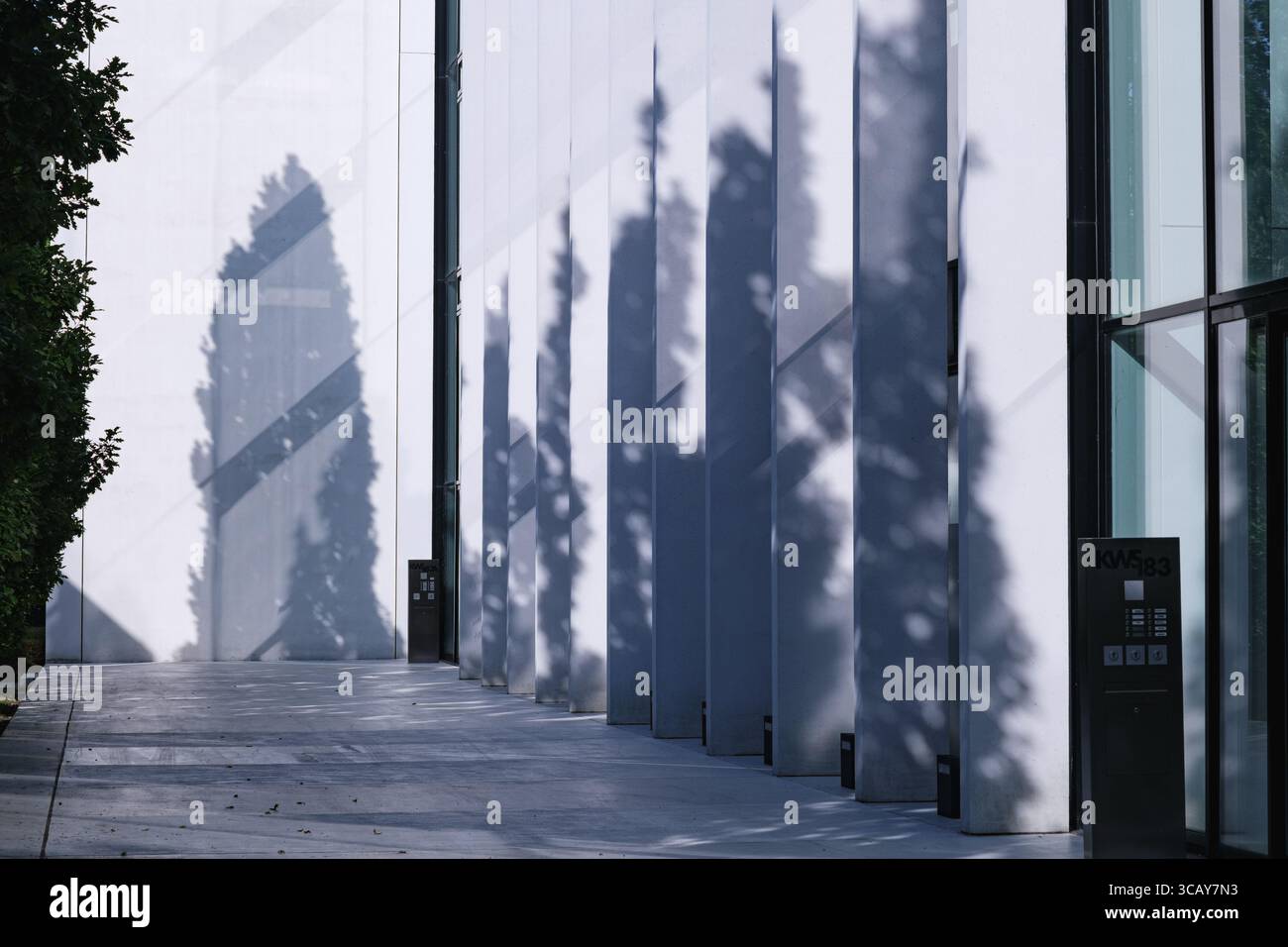 Shadows of trees cast on a modern white building with glass and pillars ...
