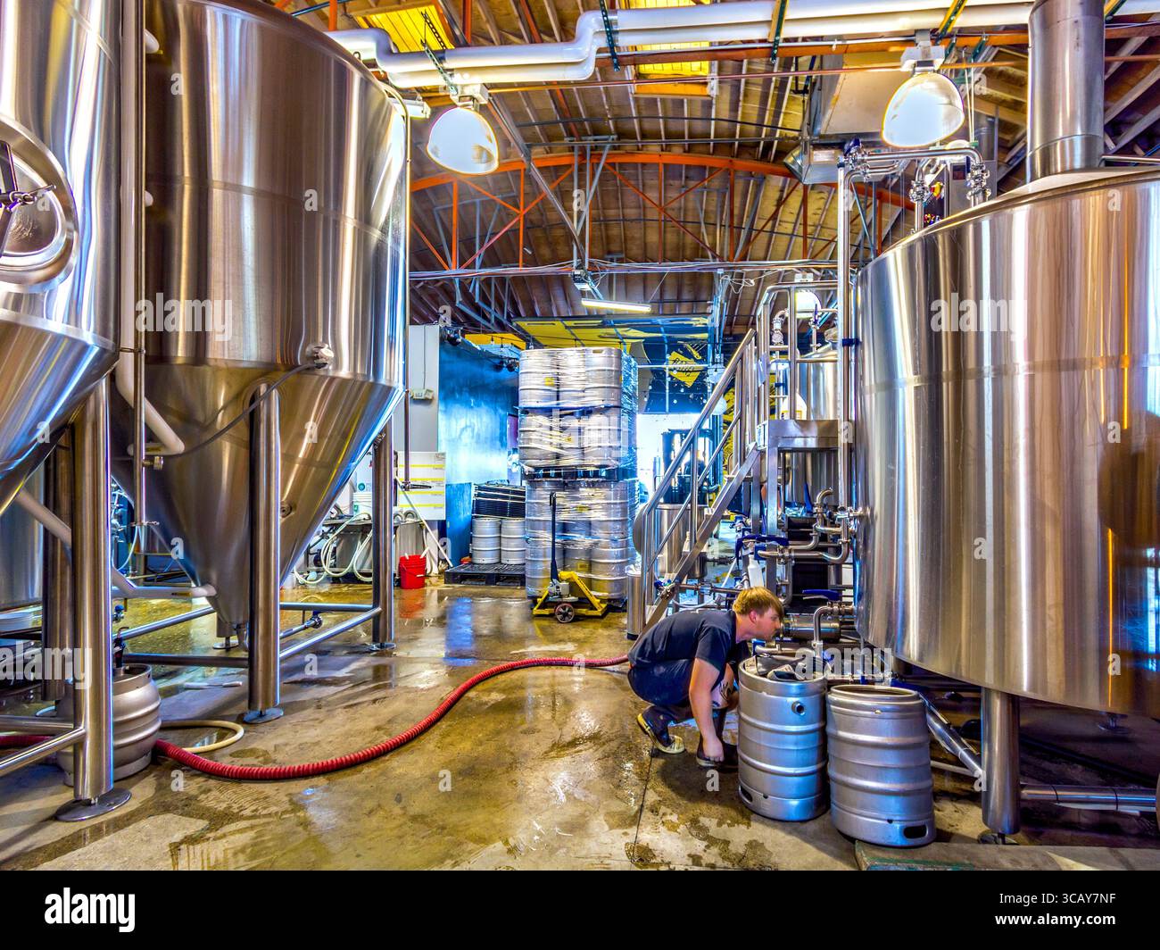 Beer brewing facilities behind bar on Larimer Street, Denver, Colorado ...