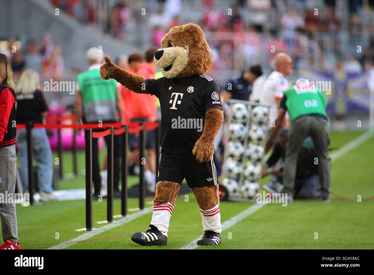 Fussball, Herren, Saison 2025/2026, FC Bayern München - Tottenham ...