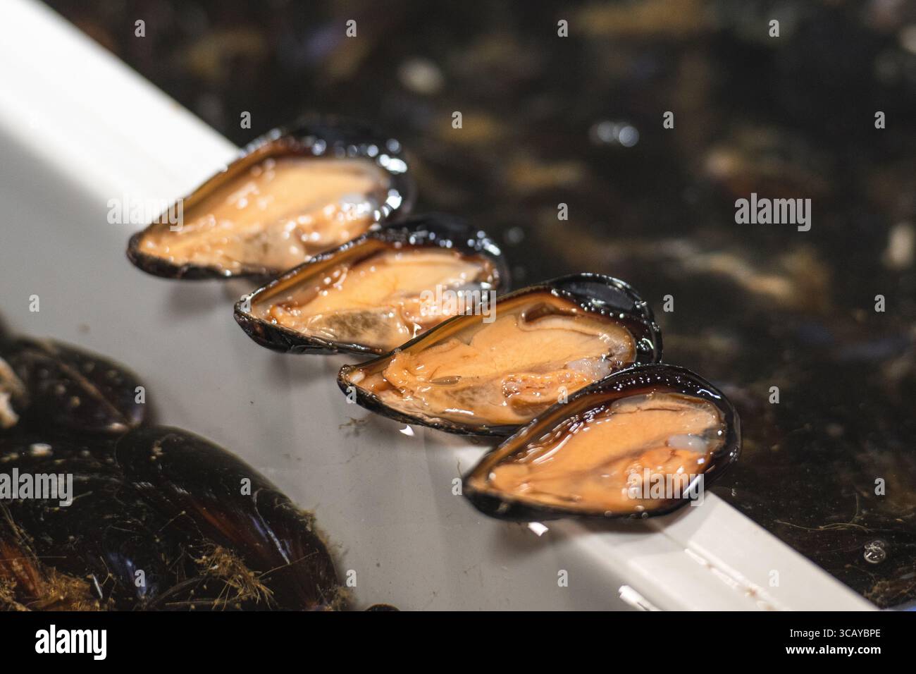 Fresh raw mussels displayed open in a fishery or street food local ...