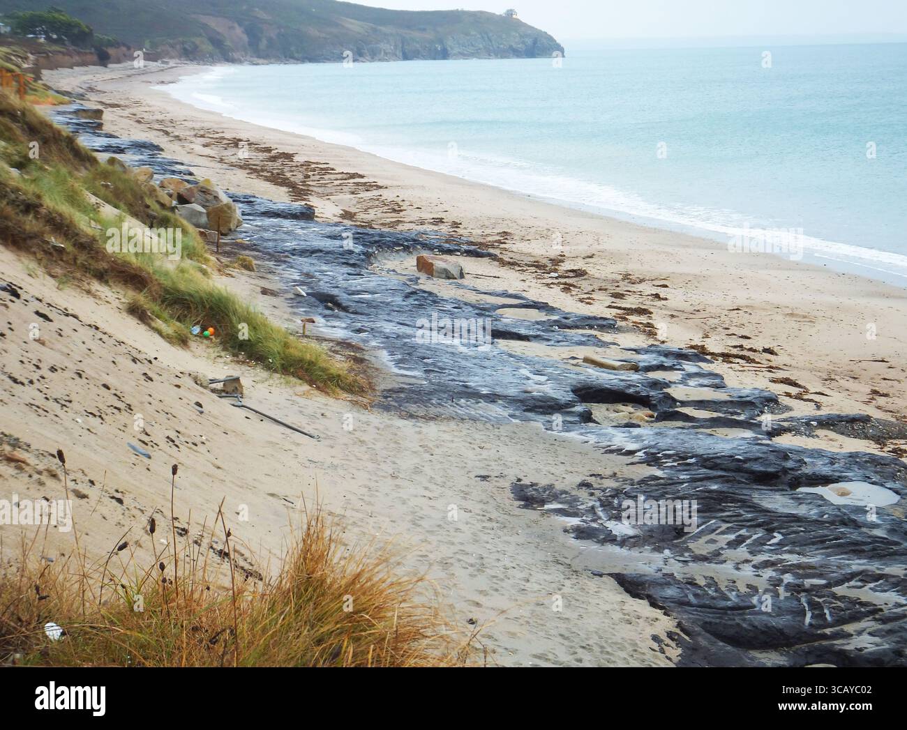 The black shallow platform of peat formed 1300-1900 years old, during ...