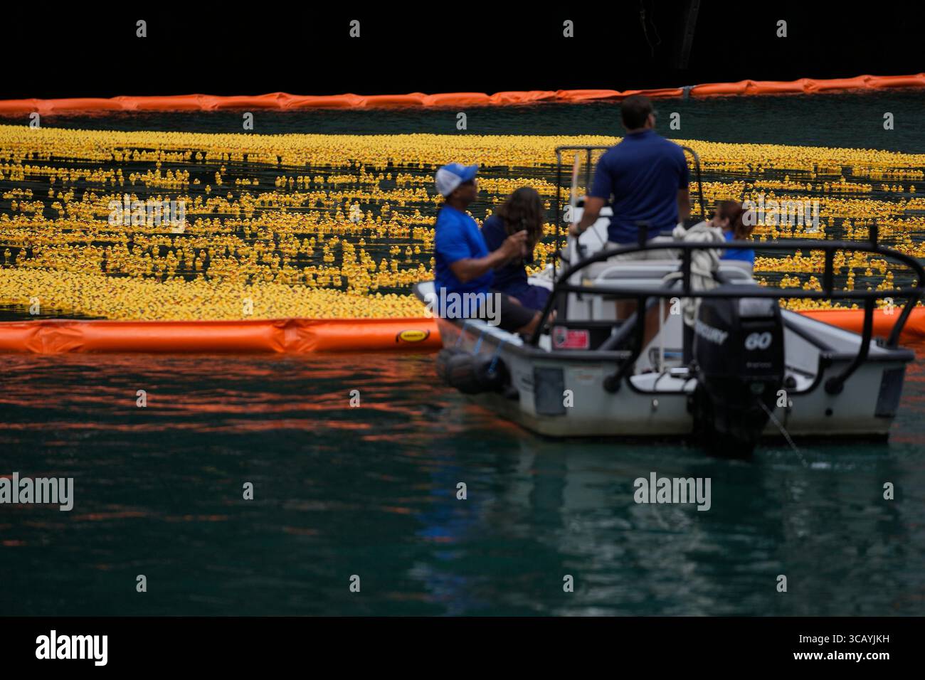 Over 80,000 rubber ducks are dumped into the Chicago River as part of ...