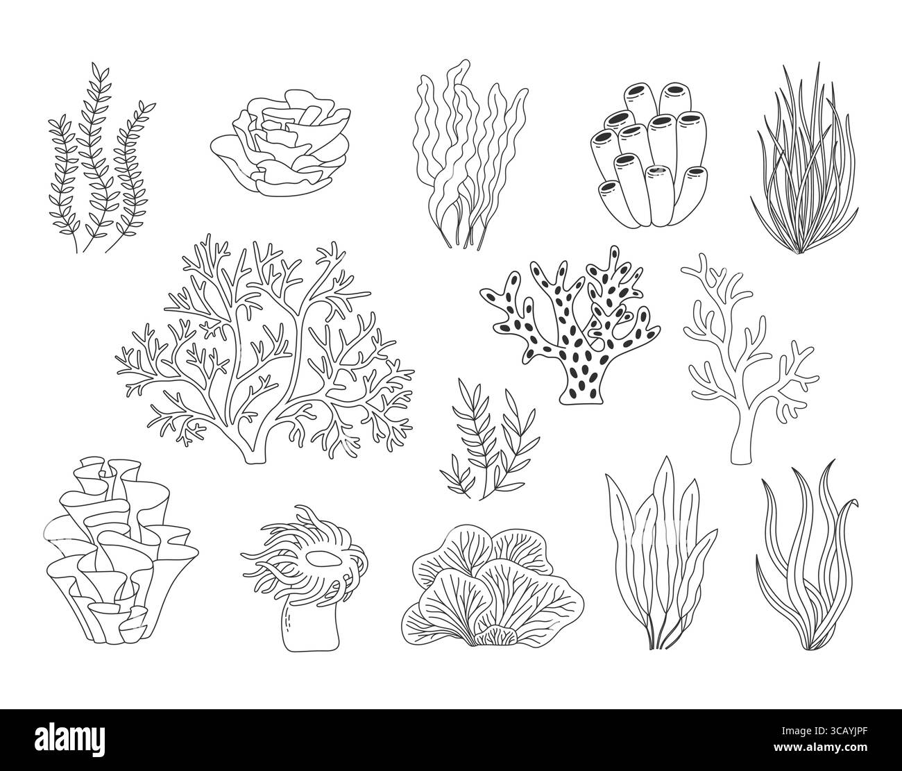 Trendy coral reef vector collection. Underwater ocean plants line icon ...