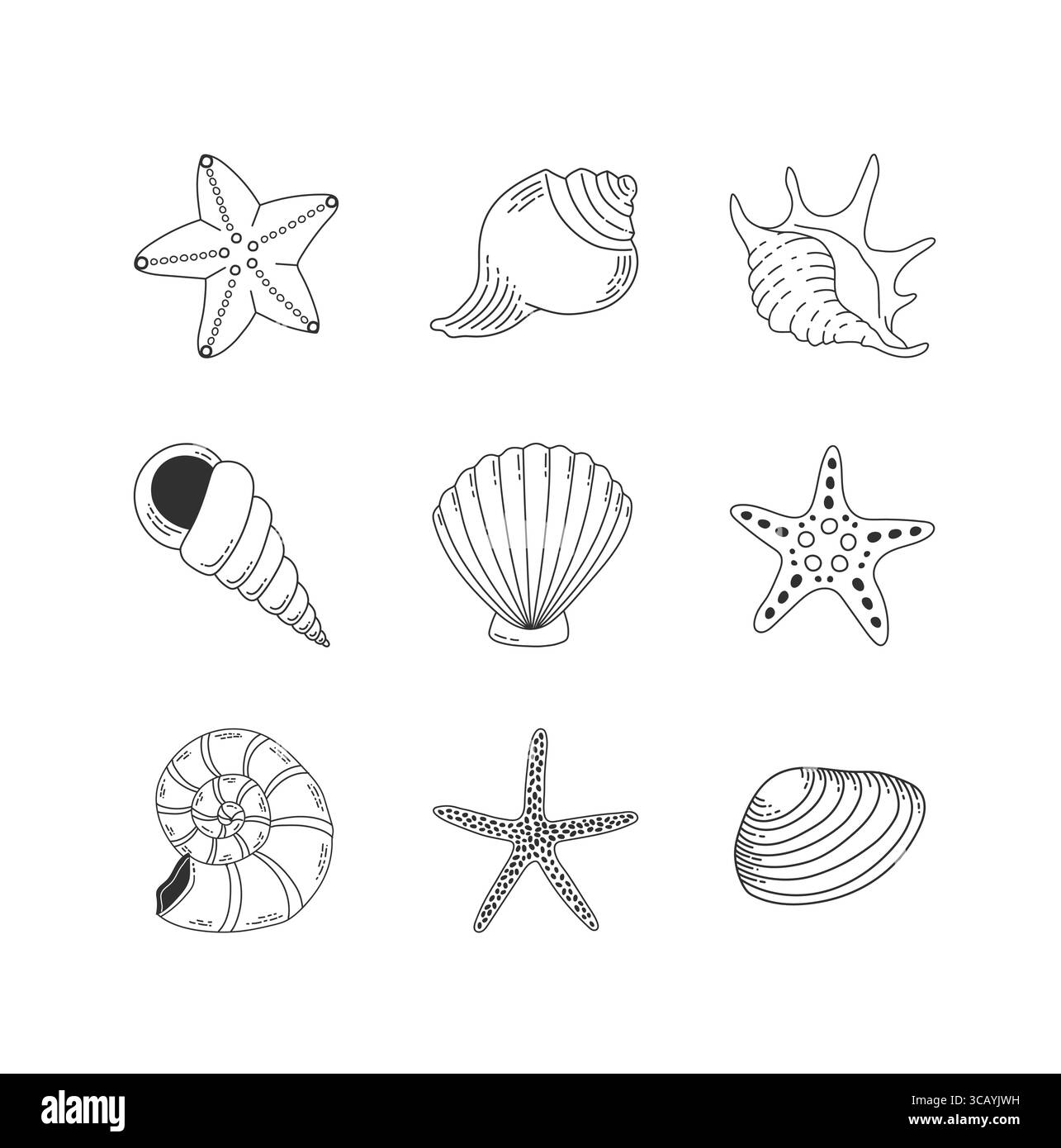 Illustration seashell Black and White Stock Photos & Images - Alamy