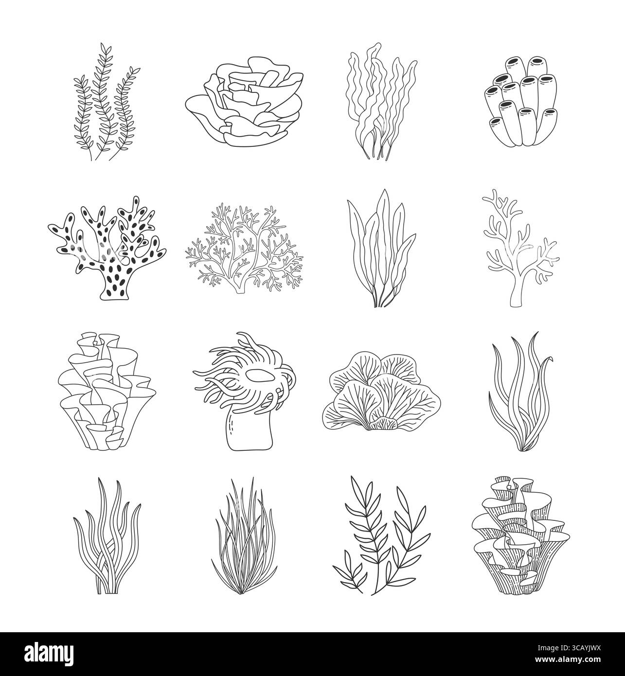 Trendy coral reef and seaweed vector collection. Underwater ocean ...