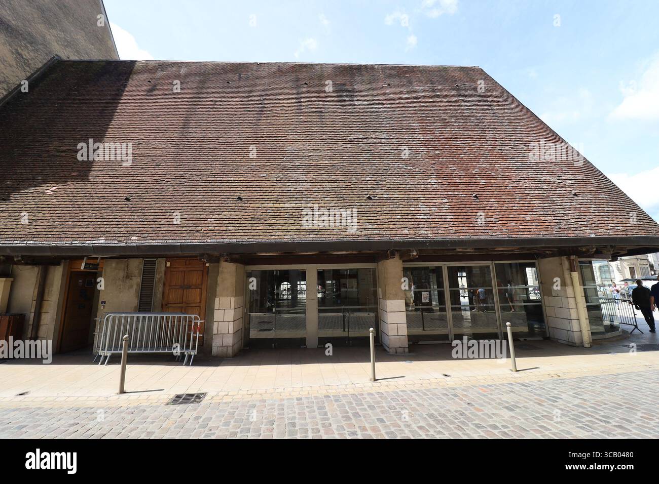 Beaune halls, market hall, covered market, city of Beaune, department ...